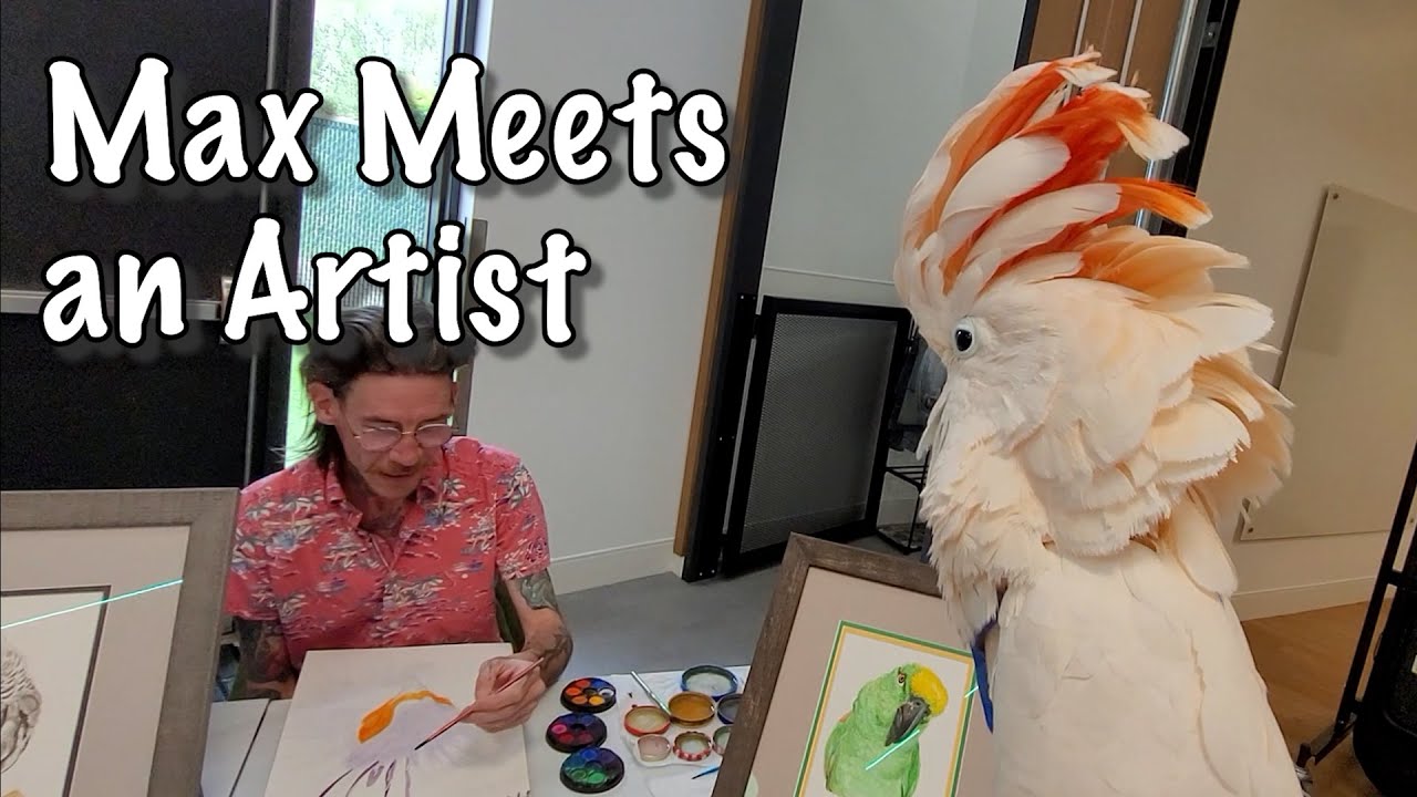Max Meets an Artist at the Market - YouTube