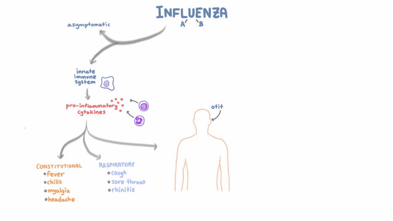Influenza Infection - Clinical Symptoms and Presentation - YouTube