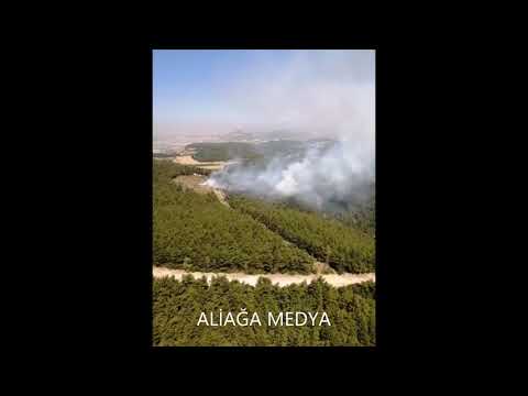 Foça’daki ormanlık alanda çıkan yangın kontrol altına alındı