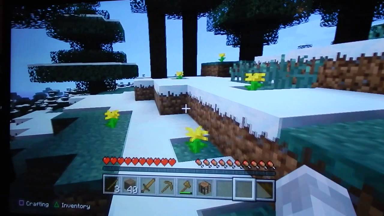 Danes intro Minecraft video part 1 - YouTube