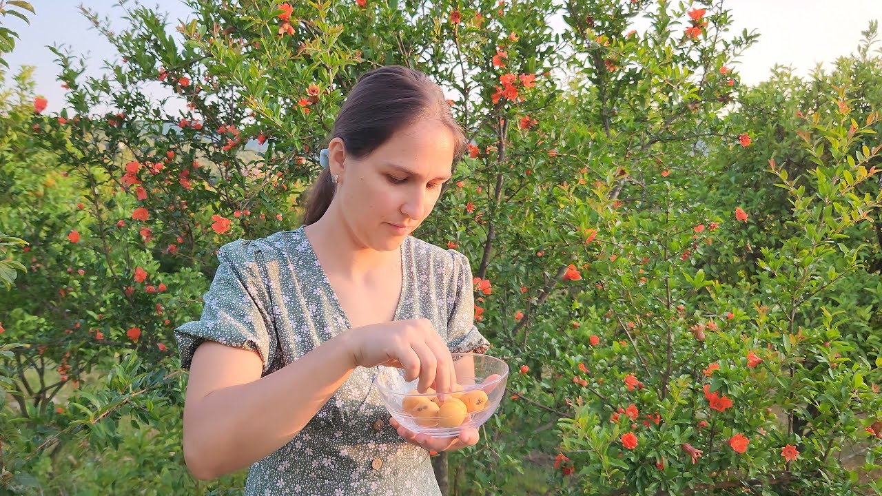 Nespulla, Phisalis - Jeta në Fshat - Albanian Village Life - YouTube