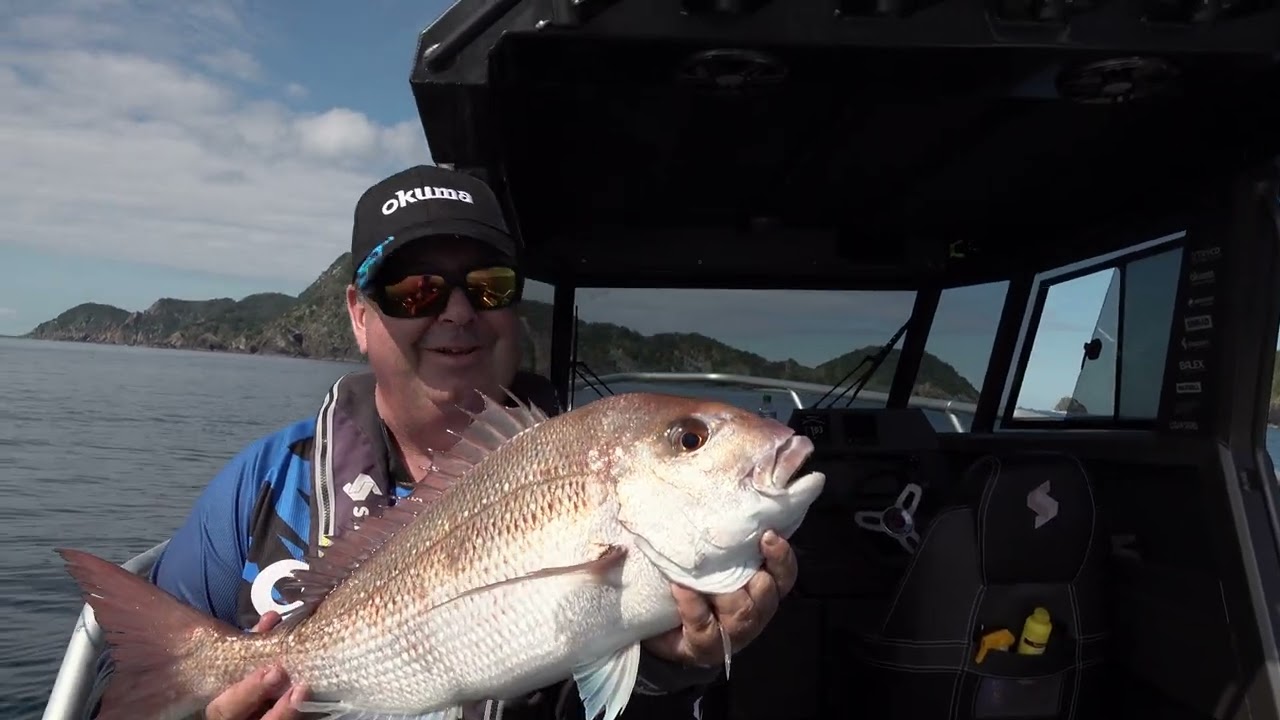 Kingfish and snapper fishing using freshly caught bait - YouTube