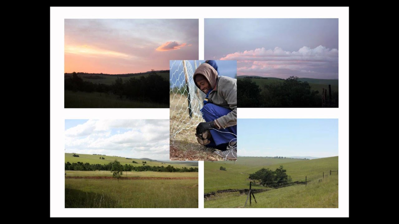 Lulutho Your help - YouTube