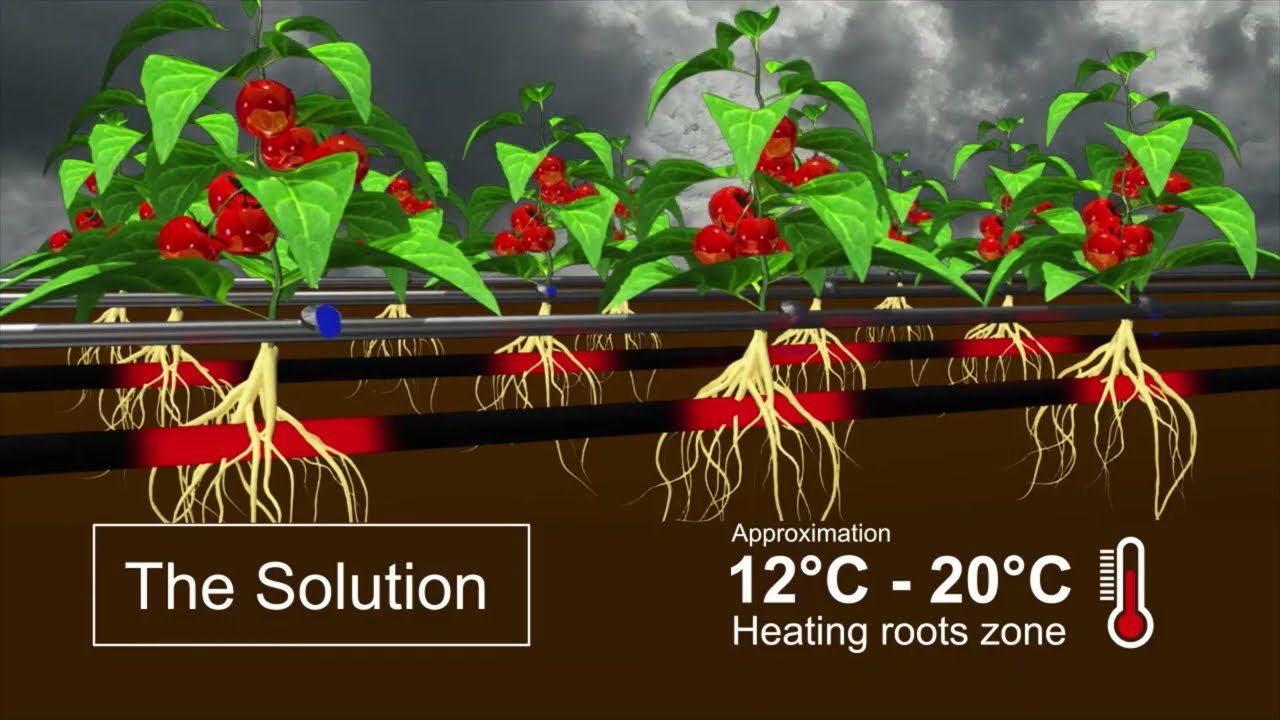 Roots’s zone climate optimization - YouTube