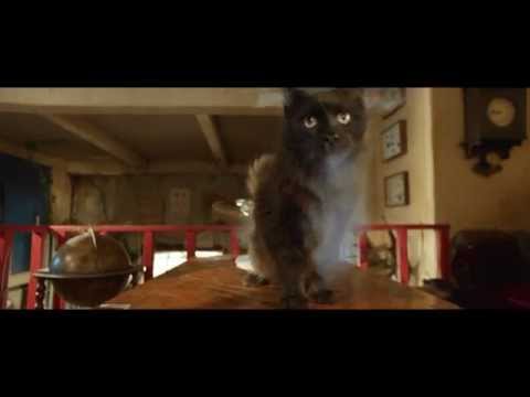 Katze frisst Pupspulver und pupst