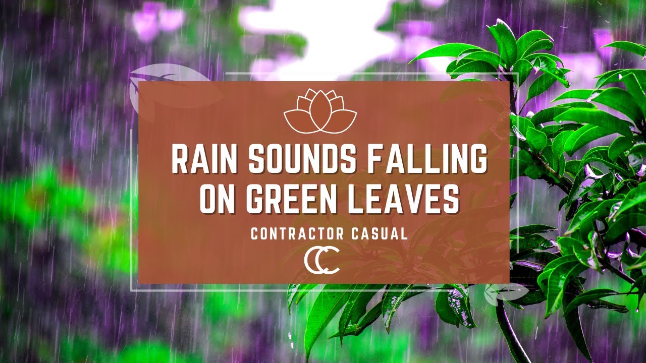 8 Hour Gentle RAIN Sounds Falling On Green Leaves and Tress - White ...