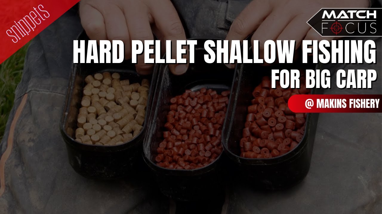 Hard Pellet Shallow Fishing for Big Carp At Makins Fishery - YouTube