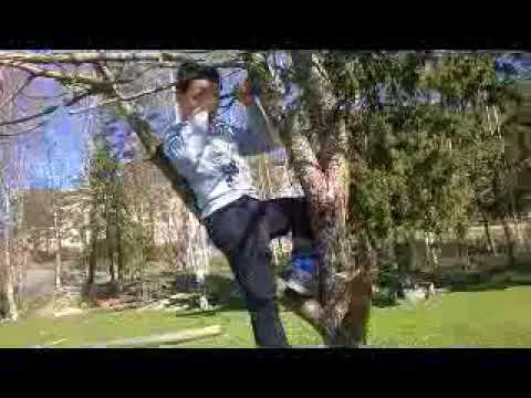 strong boy climbing tree great boy and happy