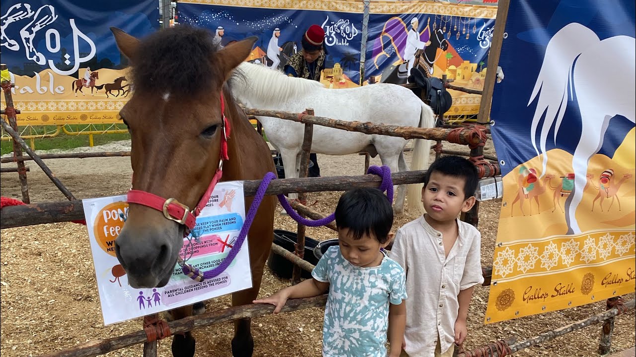 what horse ride and feeding in bazar Ramadan|apa menunggang kuda dan ...