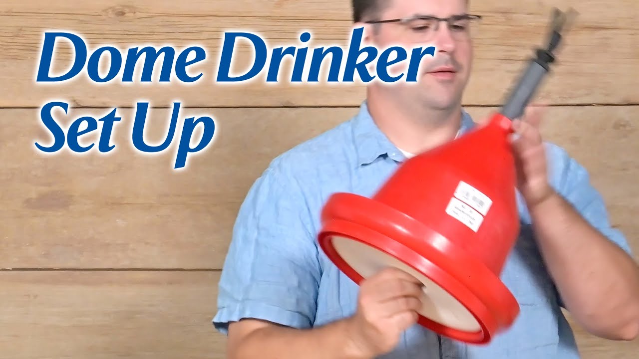 Dome Drinker Set Up - YouTube