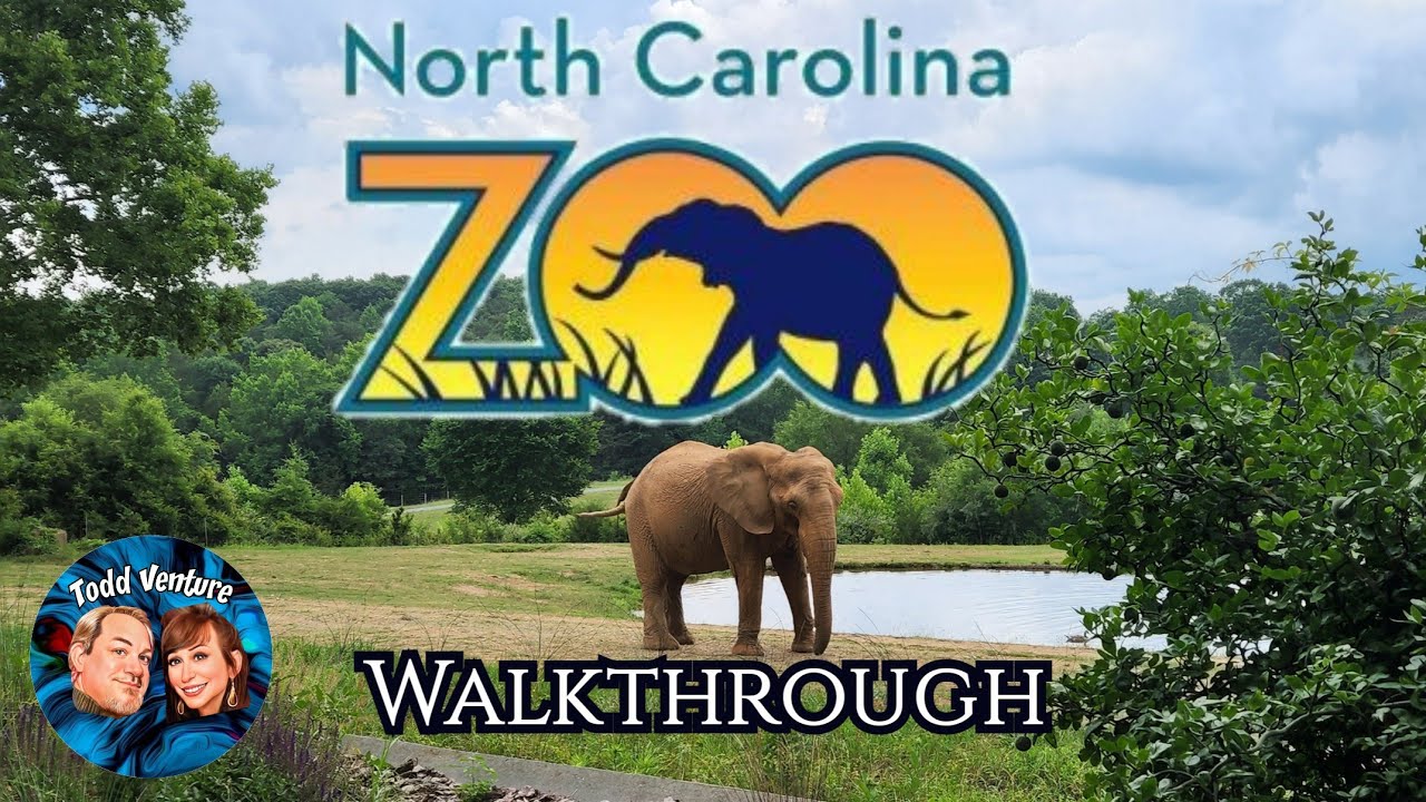 North Carolina Zoo | The largest Habitat Zoo in the World | Complete ...