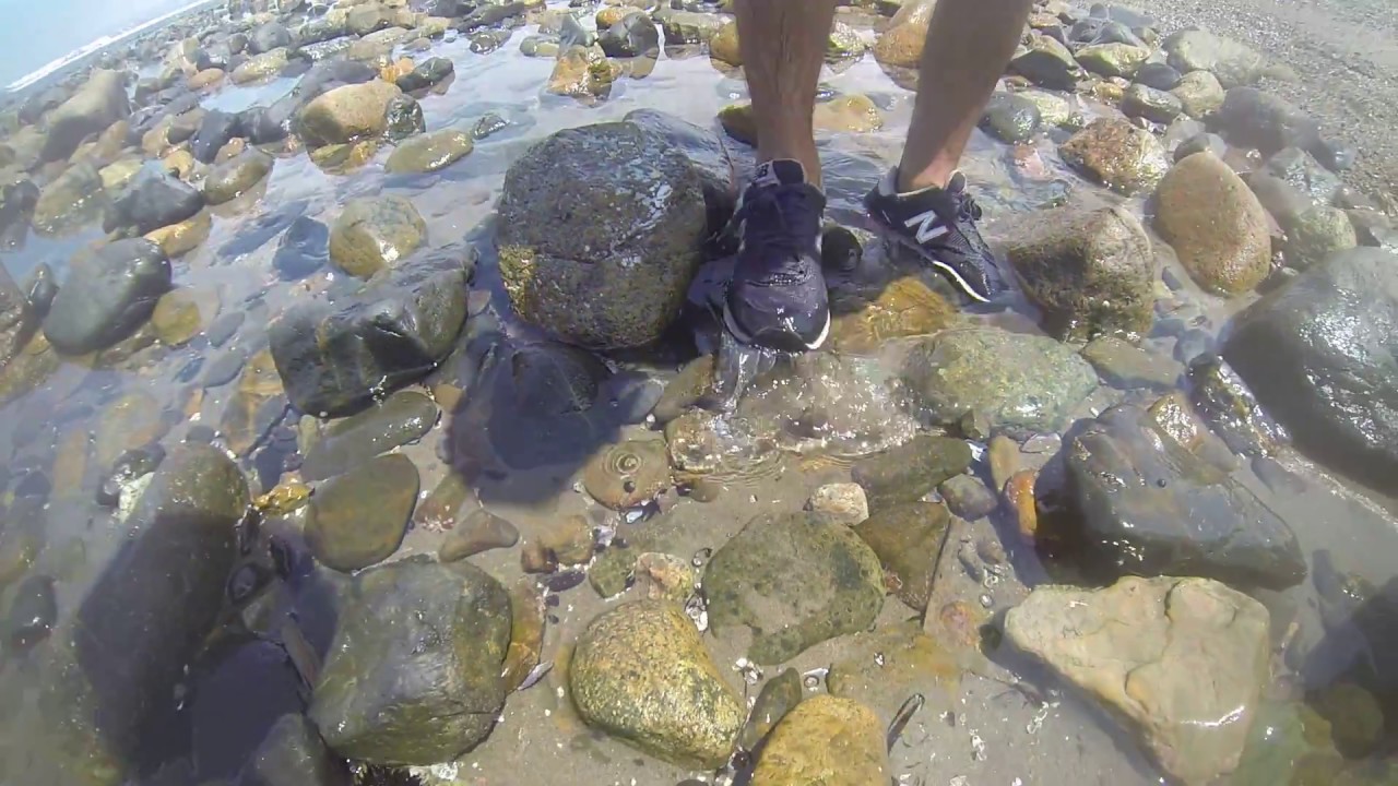 Pescando un Tramboyo en Huanchaco - YouTube