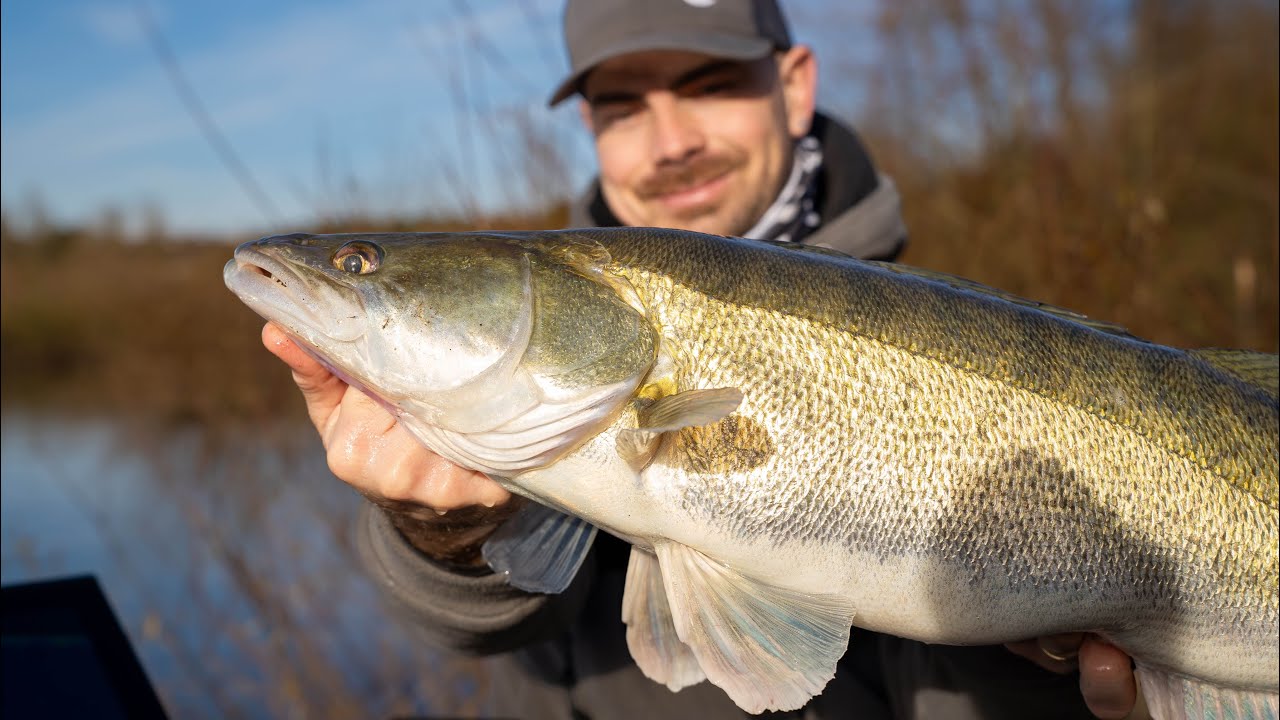 JEU CONCOURS 🎁 ÉNORME SANDRE de LOIRE pendant la CRUE : TOUCHE en ...