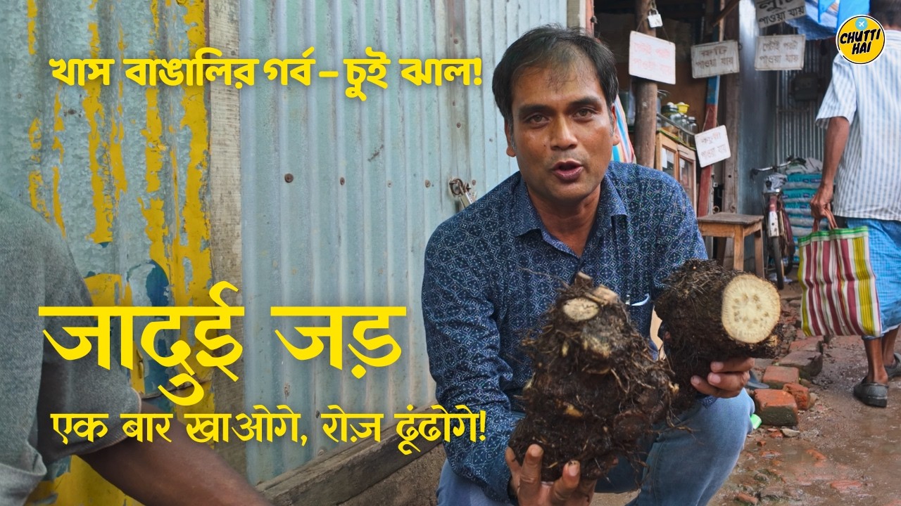 West Bengal's Secret Spice: Discovering Choi Jhaal (Chui Jhal) + Uses ...
