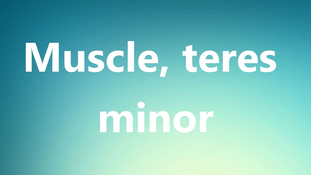 Muscle, teres minor - Medical Definition and Pronunciation - YouTube