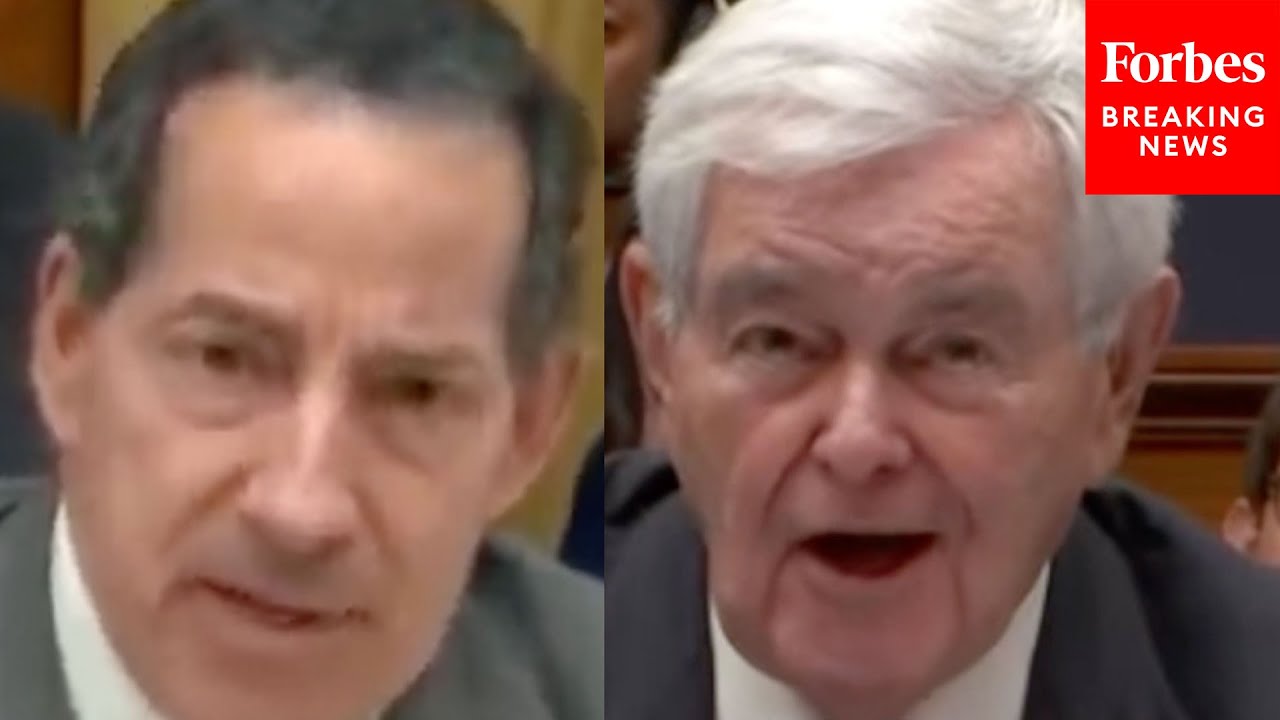 'That's A Yes Or No': Jamie Raskin Grills Newt Gingrich Over GOP ...