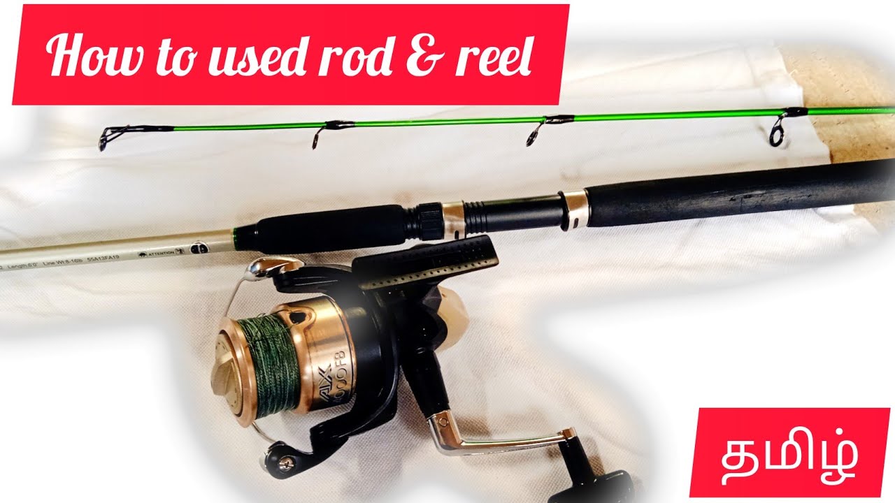 🎣🎣how to used fishing rod & reel tamil🐟🐟🐟🐟 - YouTube
