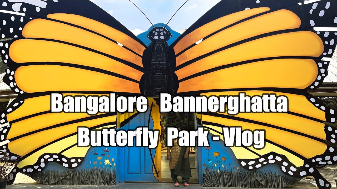 Bangalore Bannerghatta National Park | Butterfly Park 2022 - YouTube