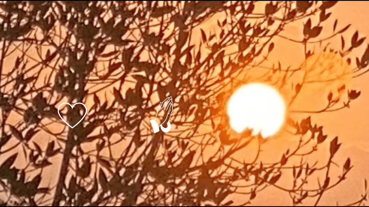Trái tim chào Mặt trời - Official freemind music - Hồ Nhật Hà 🙏🌻 - YouTube