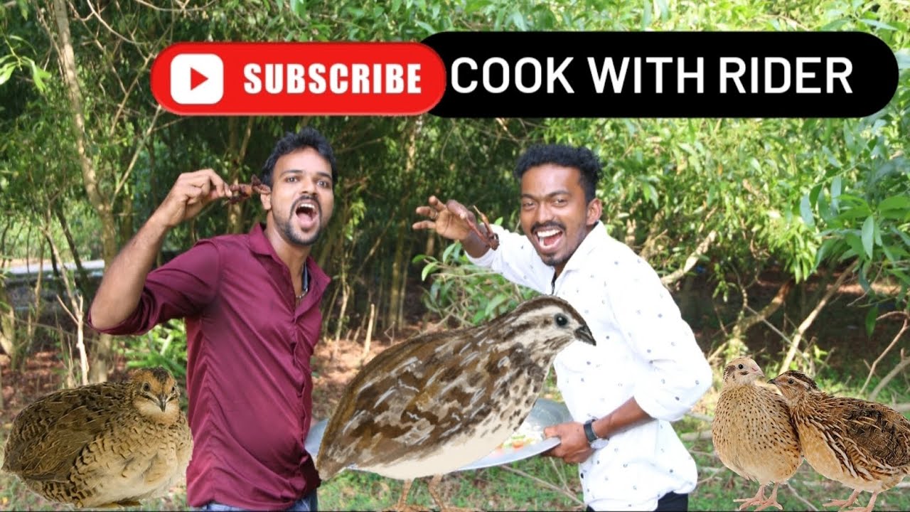 🐦ANGRY BIRDS FRY { 10 QUAIL} |@cookwithrider MAKING DELICIOUS VILLAGE ...