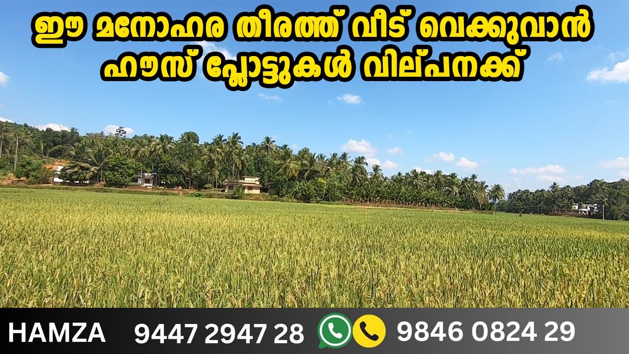 House Plots for Sale in Palakkad | Edappalam Near Naduvattam ...