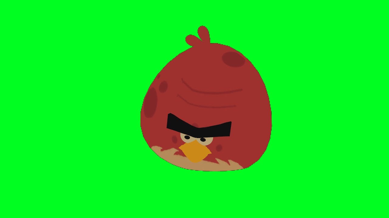 Angry bird (Big Brother) dancing green screen - YouTube