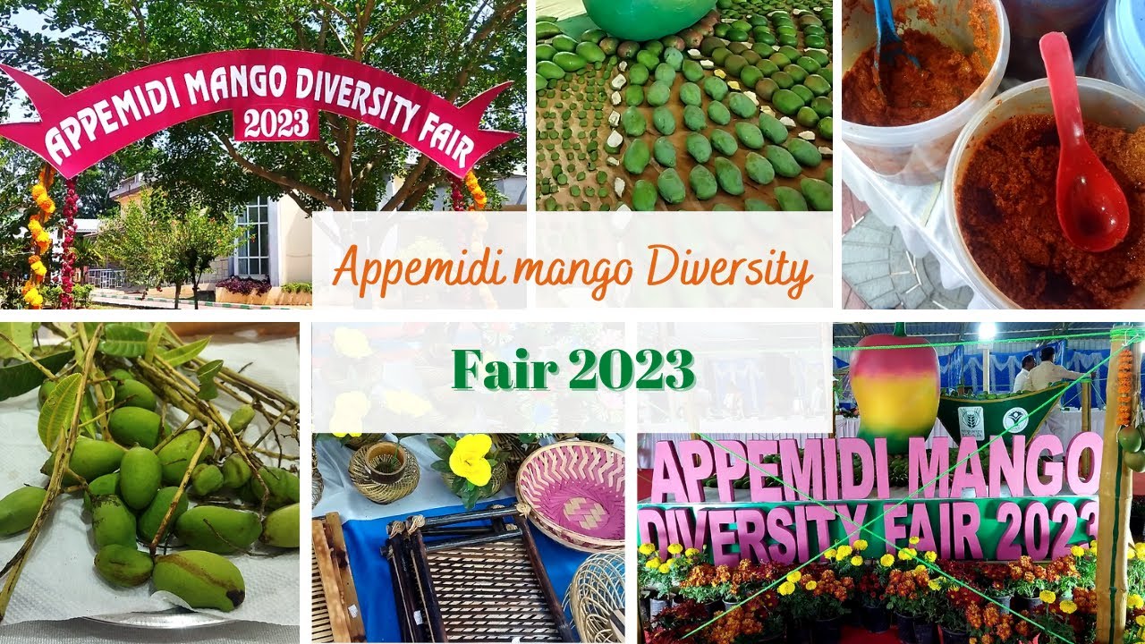 Appemidi Mango Diversity Fair 2023 ICAR-IIHR, Hesaraghatta |100 ...