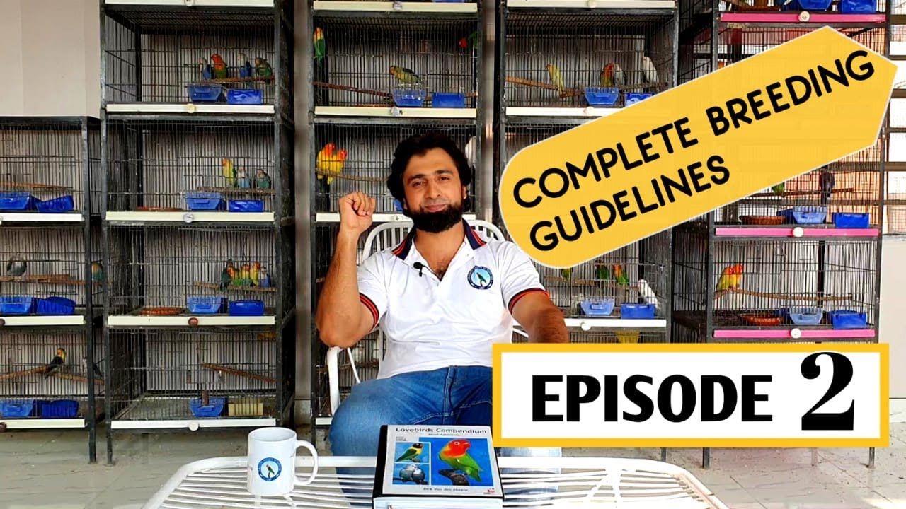 EPISODE 2.Complete Breeding Guidelines|sanitisation|Breeding chart ...