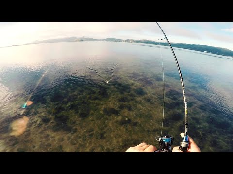 ULTRALIGHT FISHING SESSION || LEYTE ANGLER || WESTERN SAMAR FISHING ...