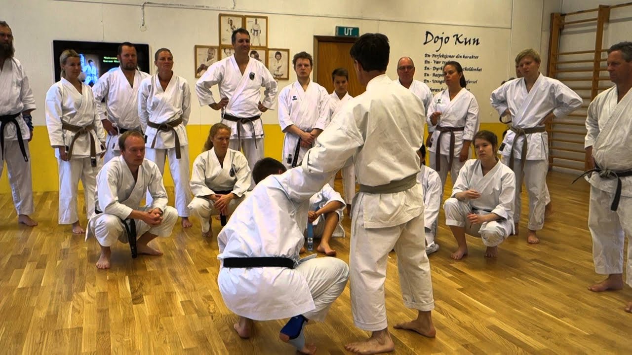 Rick Hotton Sensei Demonstrates Armlock - YouTube