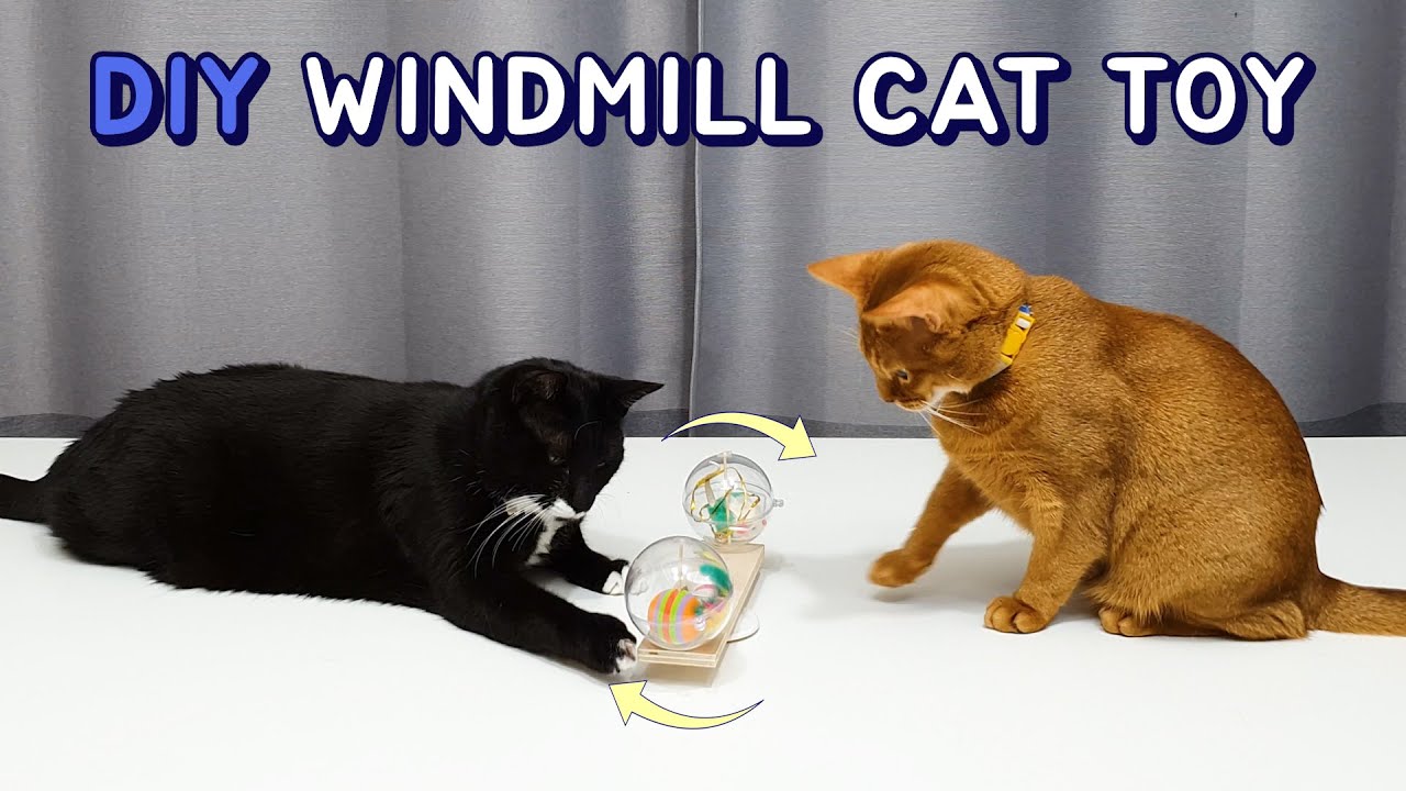 DIY Windmill Cat Toy - YouTube