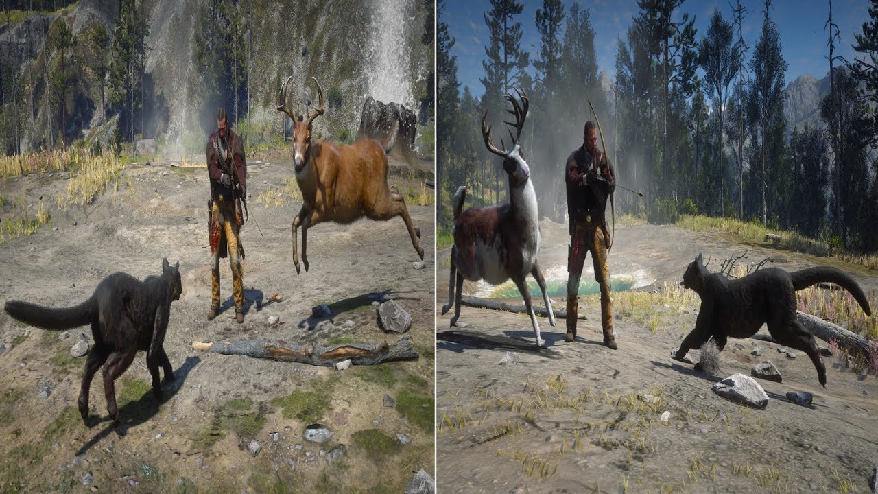 RDR2- All Animal Attack And Bite Animation Epic Wild Moments''Ep.15 ...