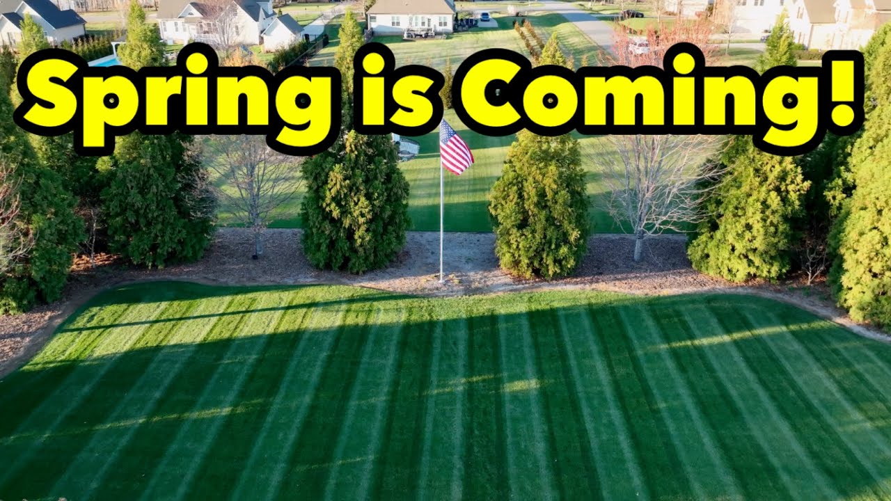 The Sights and Sounds That Let You know SPRING TIME Is Right Around The ...