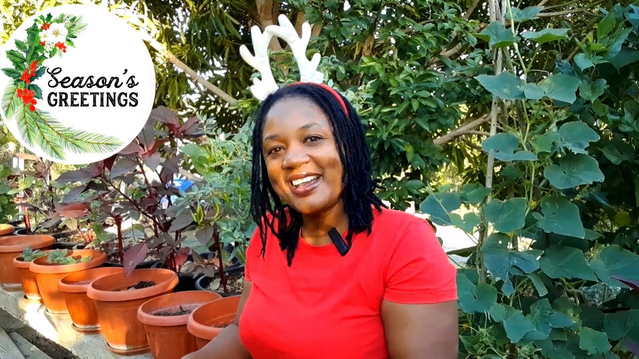 Season's Greetings From The Farming On The Rocks Family To Yours ...