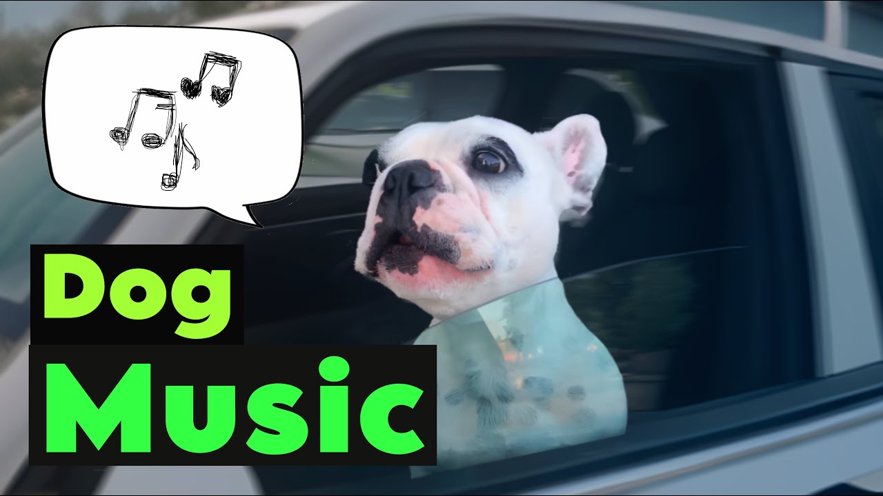 Dog Remix! with Walter Geoffrey - YouTube