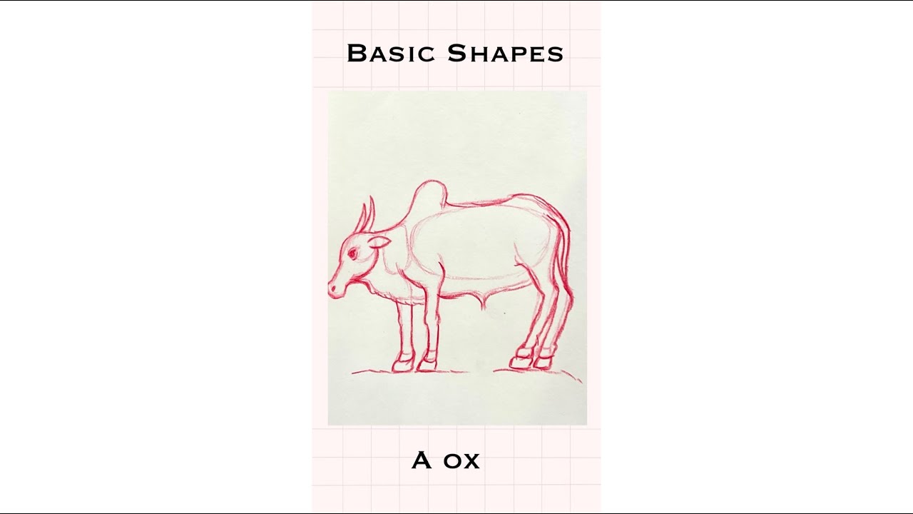 A Ox—Basic shapes of animals #shorts - YouTube