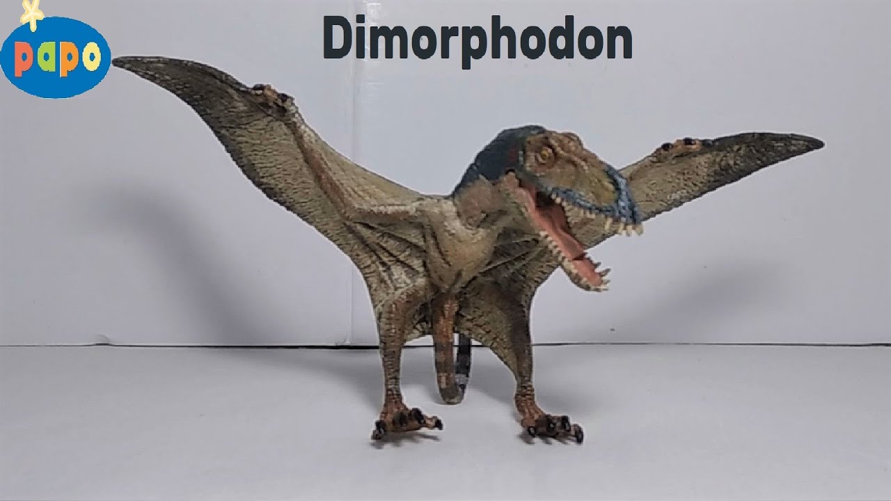 Papo Dimorphodon (55063) Review! - YouTube