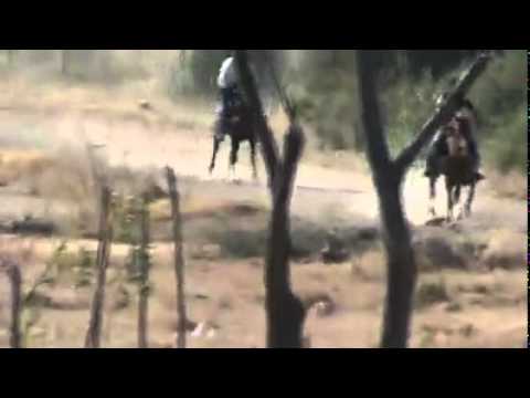 rahvan at şifa 2010 kuşadası baş 1.si