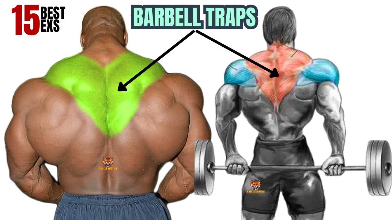 TRAPS WORKOUT- top 5 traps exercises WITH BARBELL / UPPER TRAPS ...