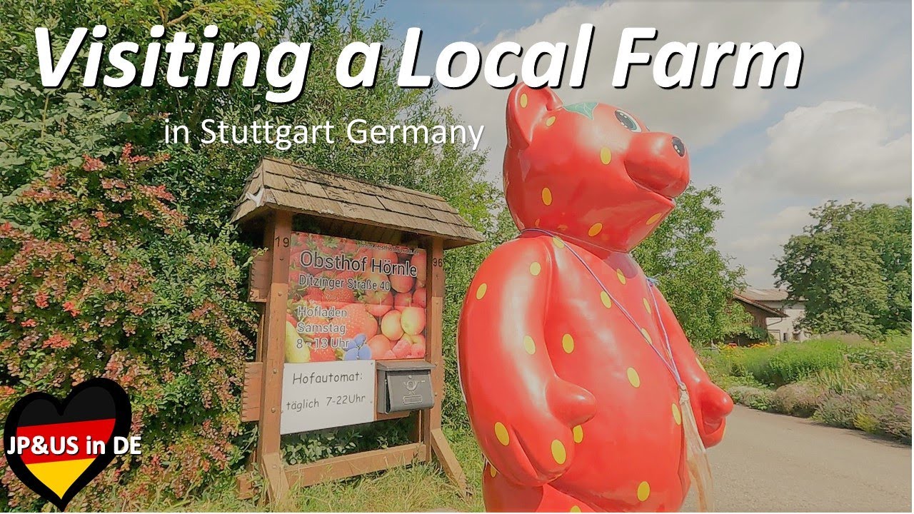【Stuttgartドイツ】🇩🇪A lovely farm in Stuttgart Germany / Run to the German ...