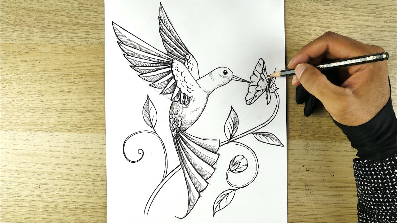how to draw a bird | Simple Bird Drawing | Pencil Sketch and Shading ...