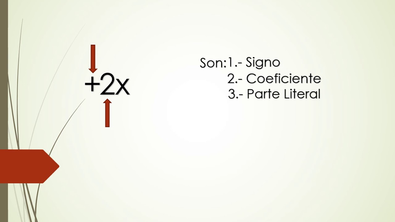 cuatro elementos de un termino algebraico - YouTube