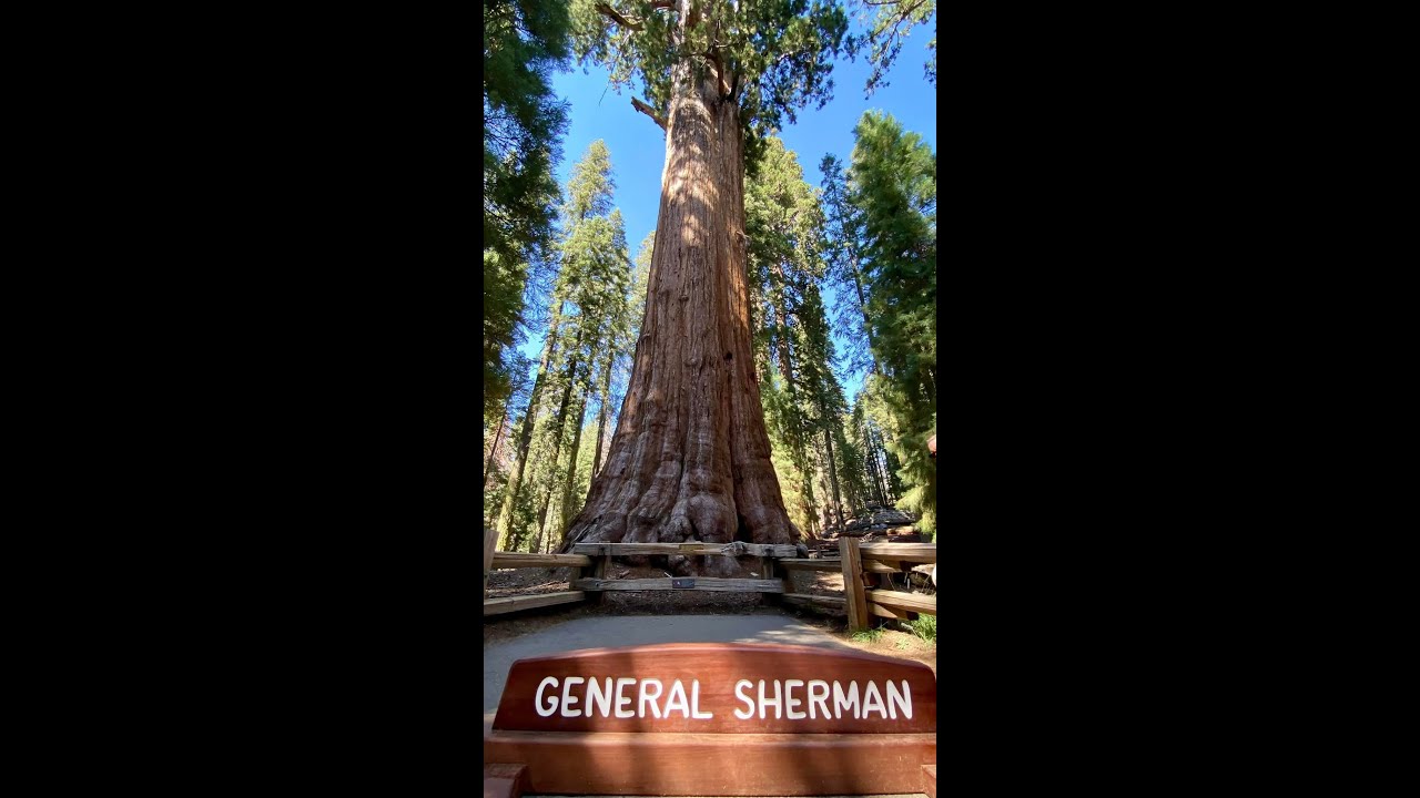 General Sherman Tree. A LAND OF GIANTS (Sequoia National Park). - YouTube