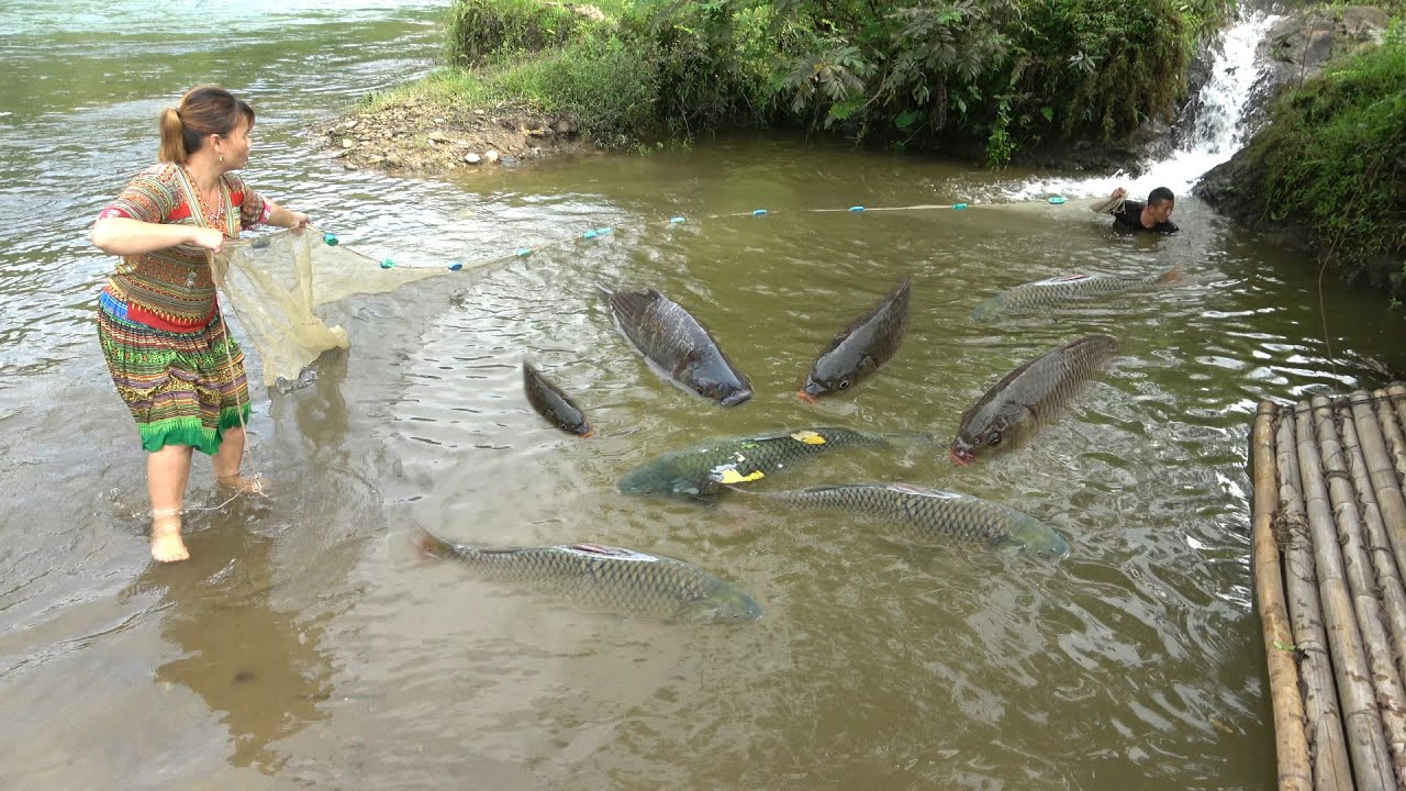 Many Ways To Catch More Fish - Drag Nets, Sink Hooks, Create Fish Traps ...