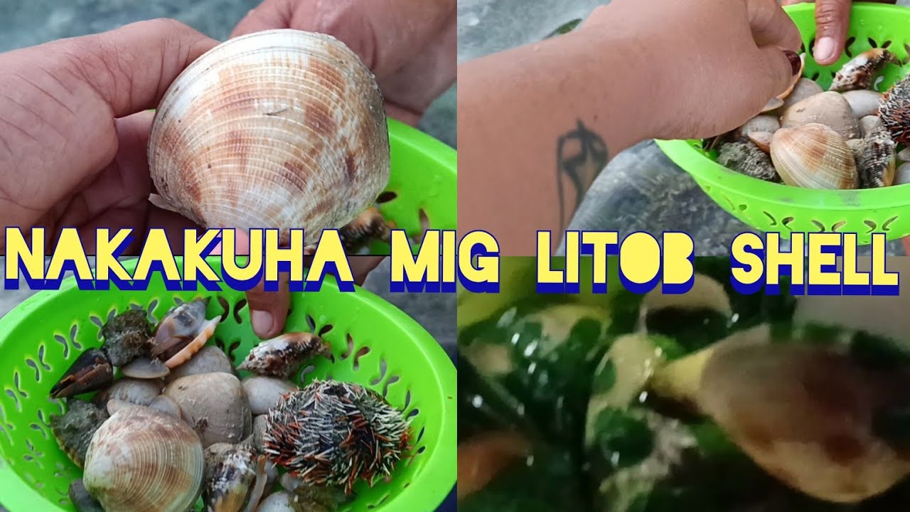 NANGIHAS MI NI PAPA EDDIE KAKUHA MIG LITOB LIBRE NA SUD AN | RUBY ...