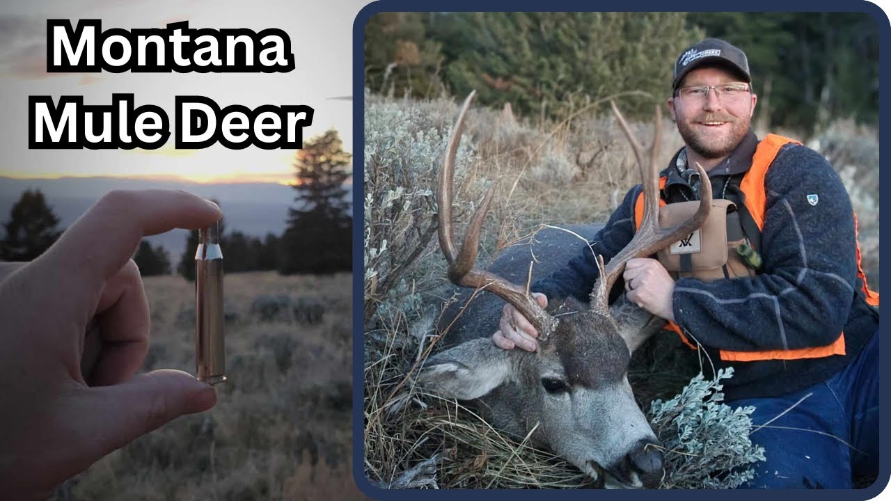 Joe's 2023 Mule Deer - YouTube