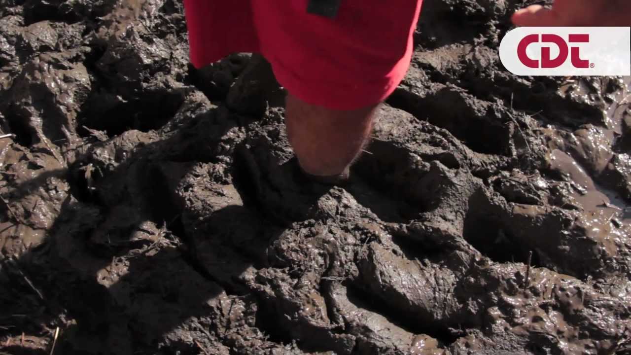 Manual de Terreno Tierra Cruda (CDT) - Preparación de Adobes - YouTube