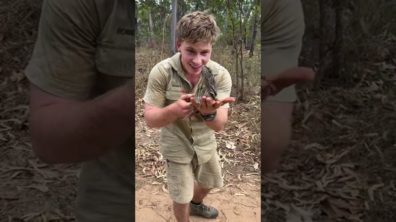 Robert Irwin's frilly friend - YouTube