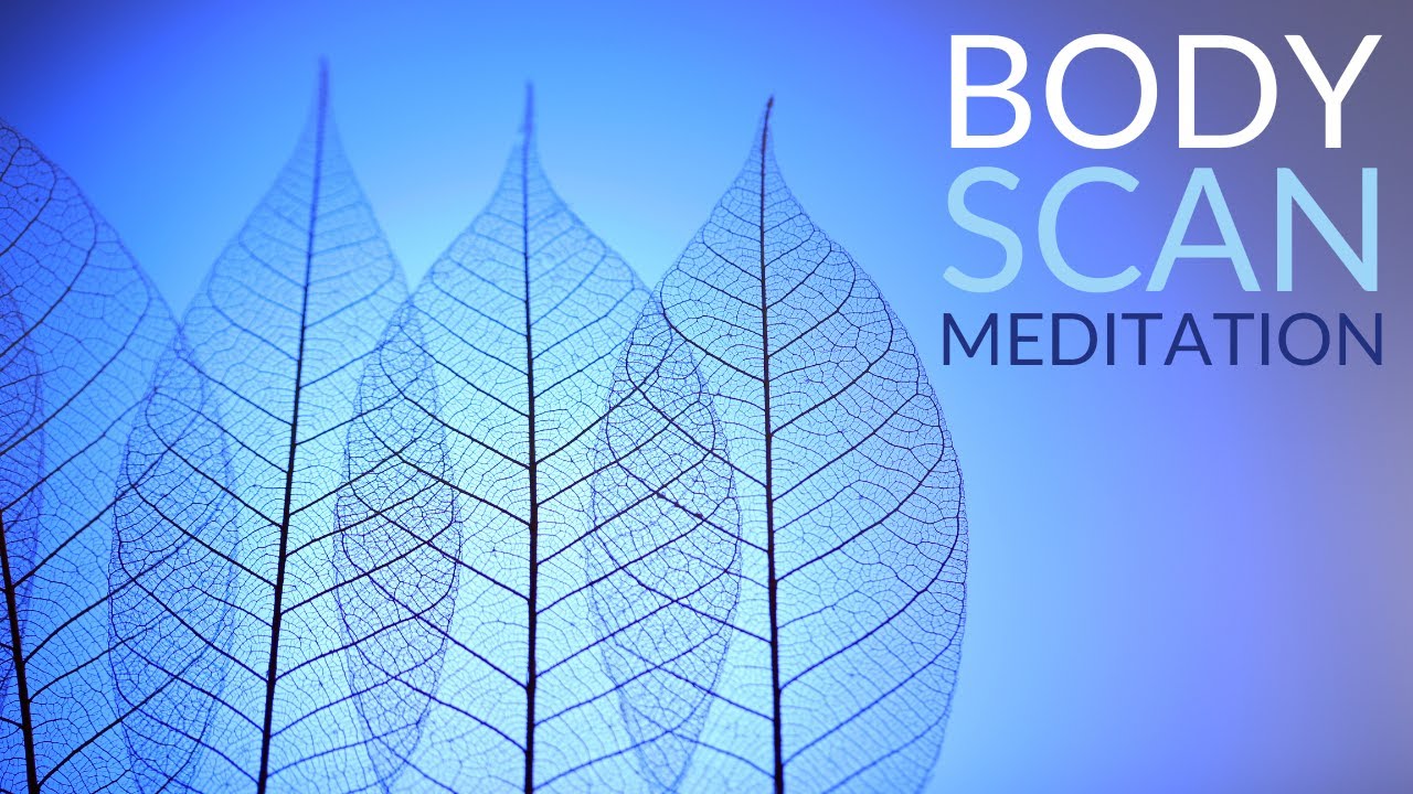 Bone Melting Skeletal Body Scan Meditation - YouTube