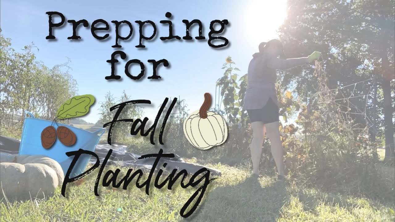 Prepping for Fall Planting - YouTube
